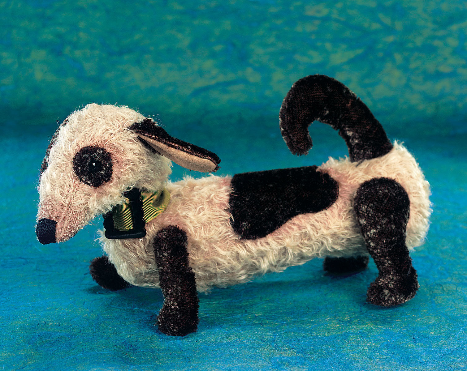 Spotty Boy by Cindy McGuire